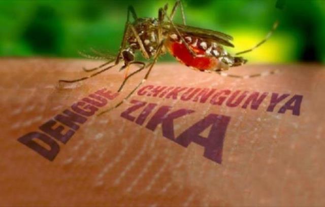 Ministerio de Salud declaró alerta verde en el Perú por el virus del ...