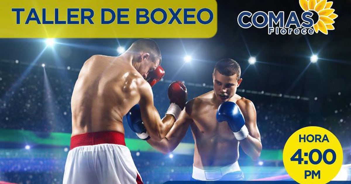 Taller de BOXEO en Comas - Novedades de tu distrito, eventos familiares ...